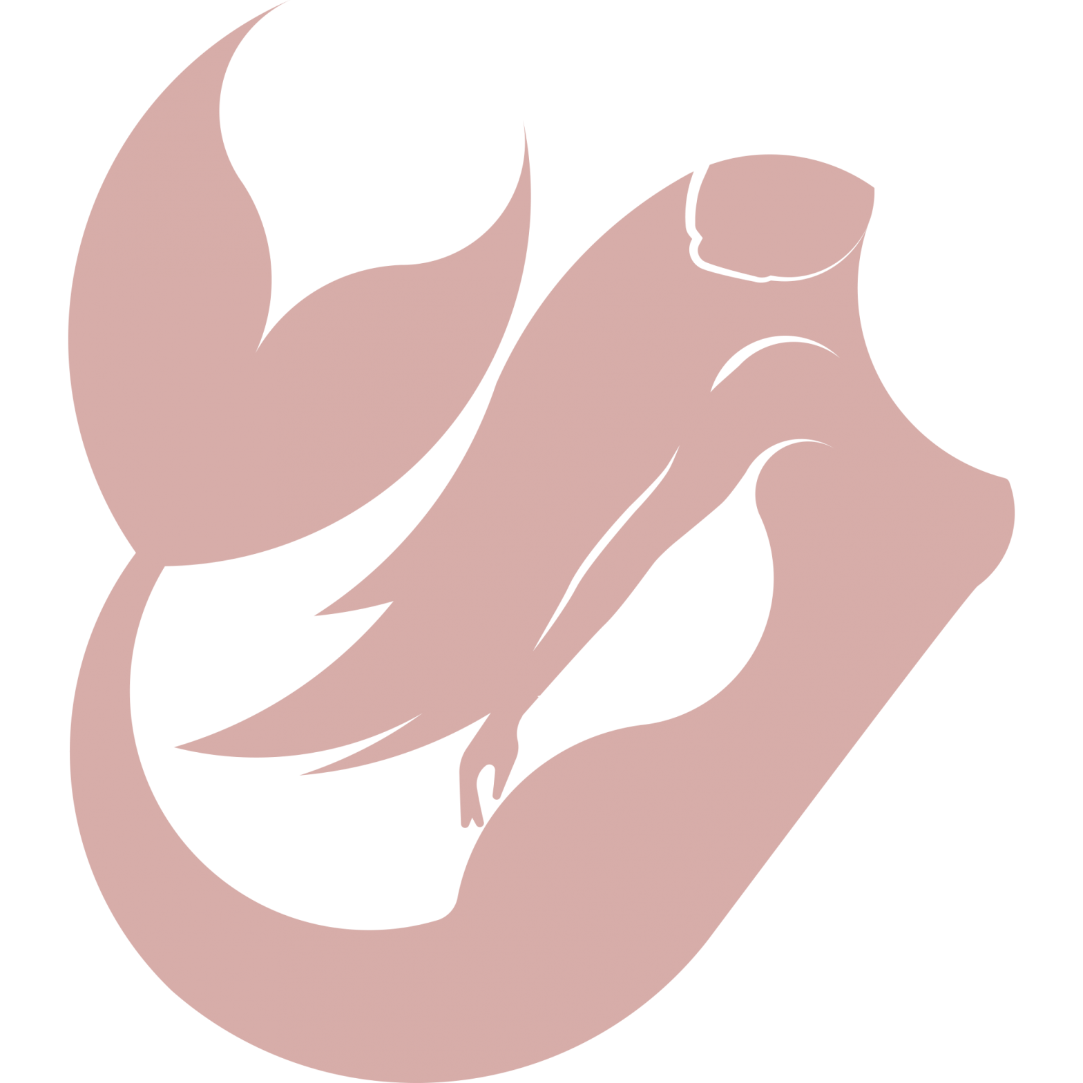 Főoldal - The Mermaid Factory